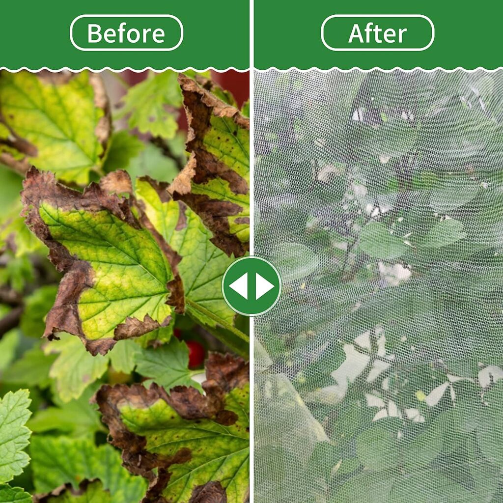 Evoio 4 Pack Garden Plant Fruits Blueberry Bushes Protection Netting ...