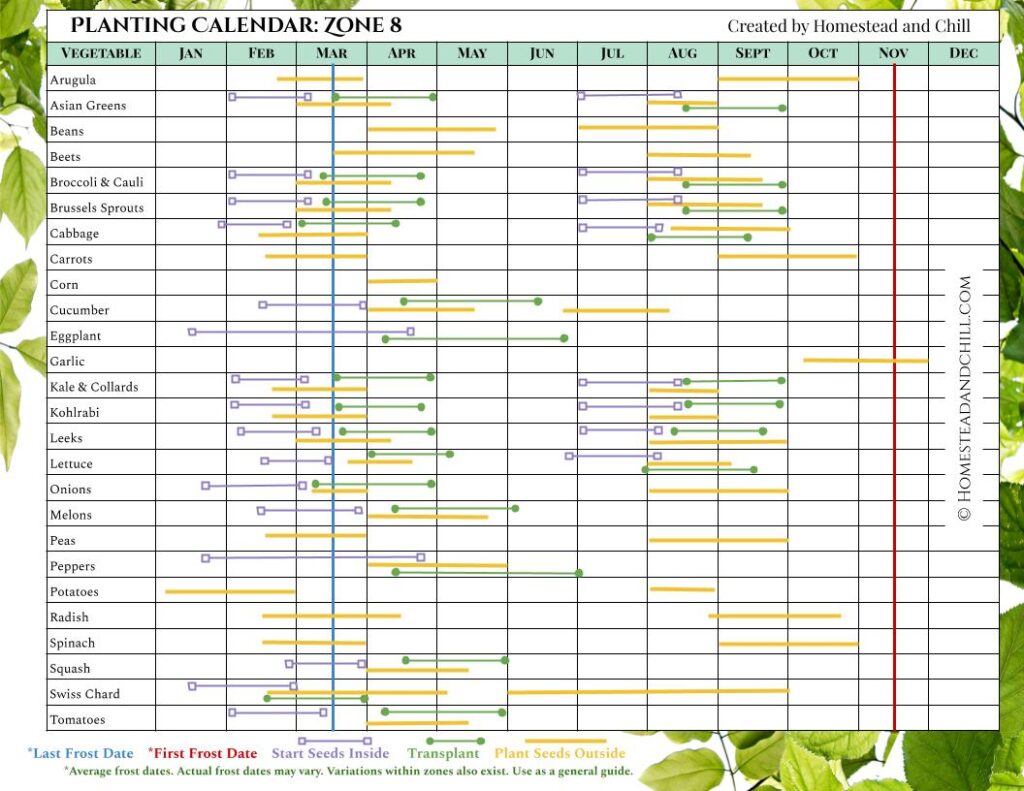 How To Create A Seed Starting Schedule - AgriReVu: Your Guide to Farm ...