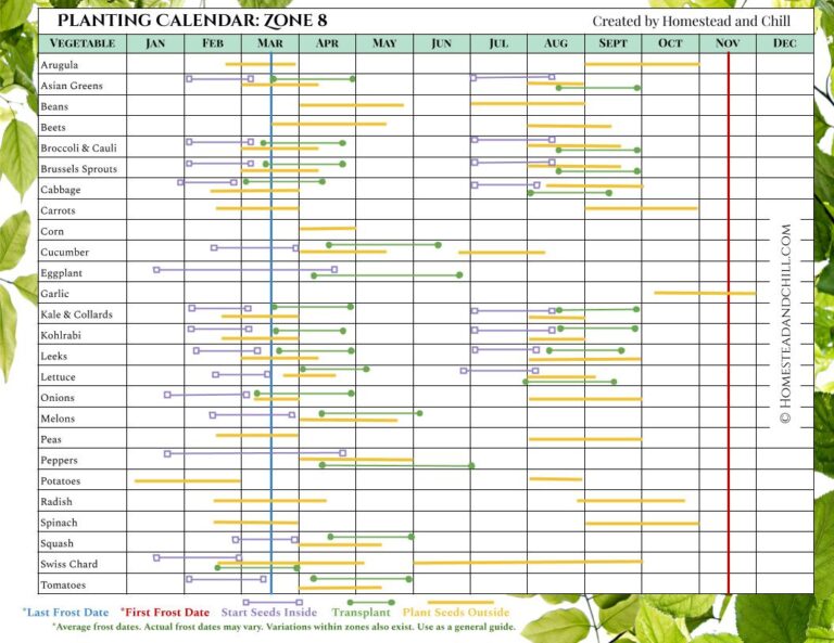 How To Create A Seed Starting Schedule - AgriReVu: Your Guide to Farm ...