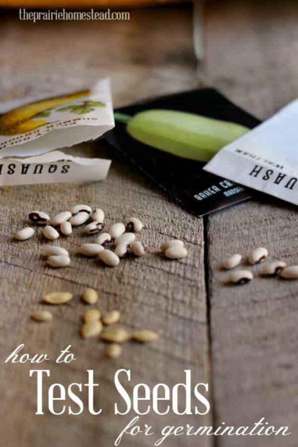 Seed Viability Testing Methods For Farmers - AgriReVu: Your Guide to ...