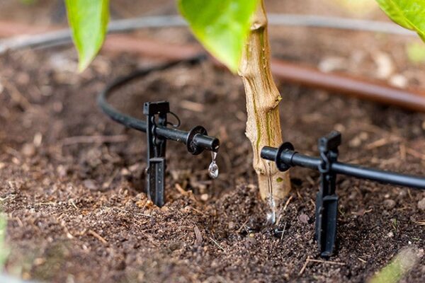 The Best Drip Irrigation Systems For Small-Scale Farming - AgriReVu ...