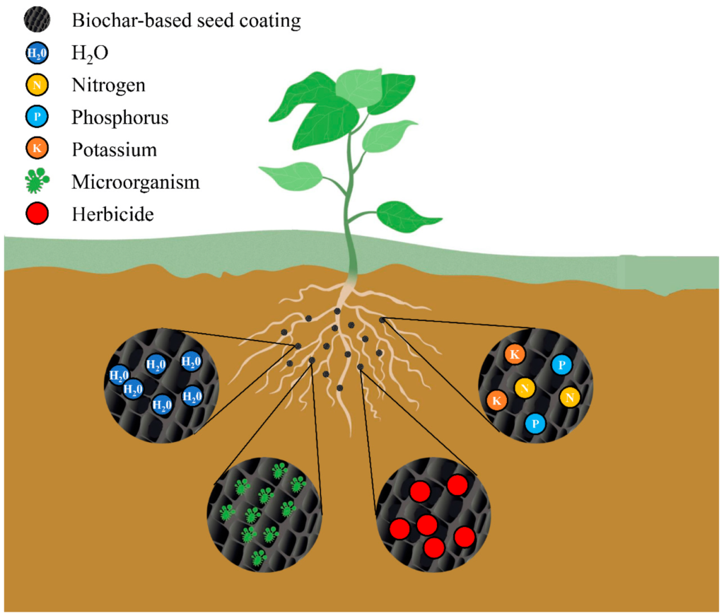 The Role Of Seed Coatings In Protecting Against Environmental Stresses - AgriReVu: Your Guide to ...