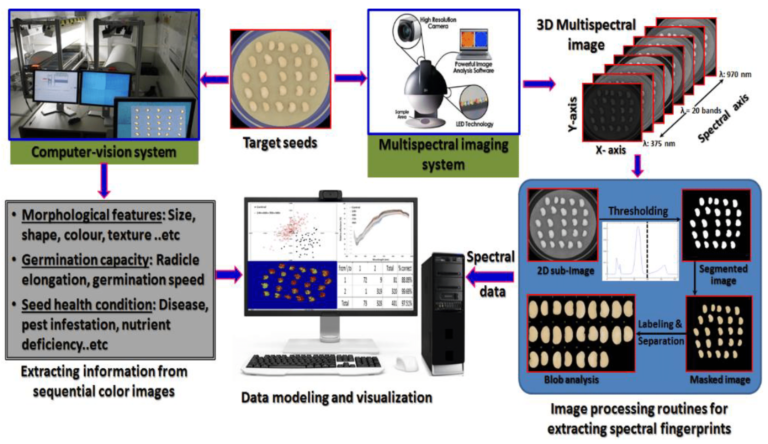 Utilizing Seed Screening Technologies For Quality Control - AgriReVu ...