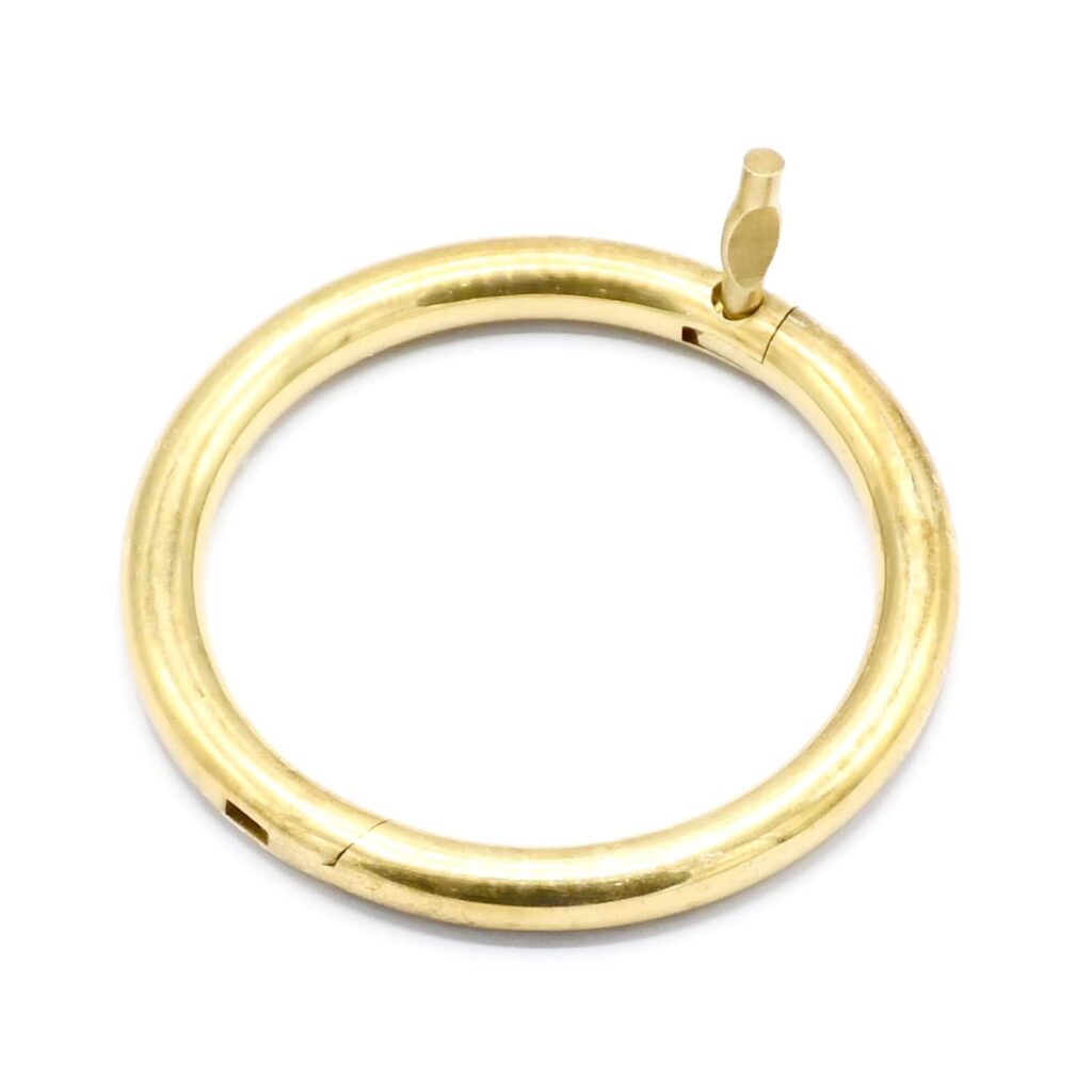 Our Review: AAProTools Brass Bull Nose Ring for Quality Livestock ...